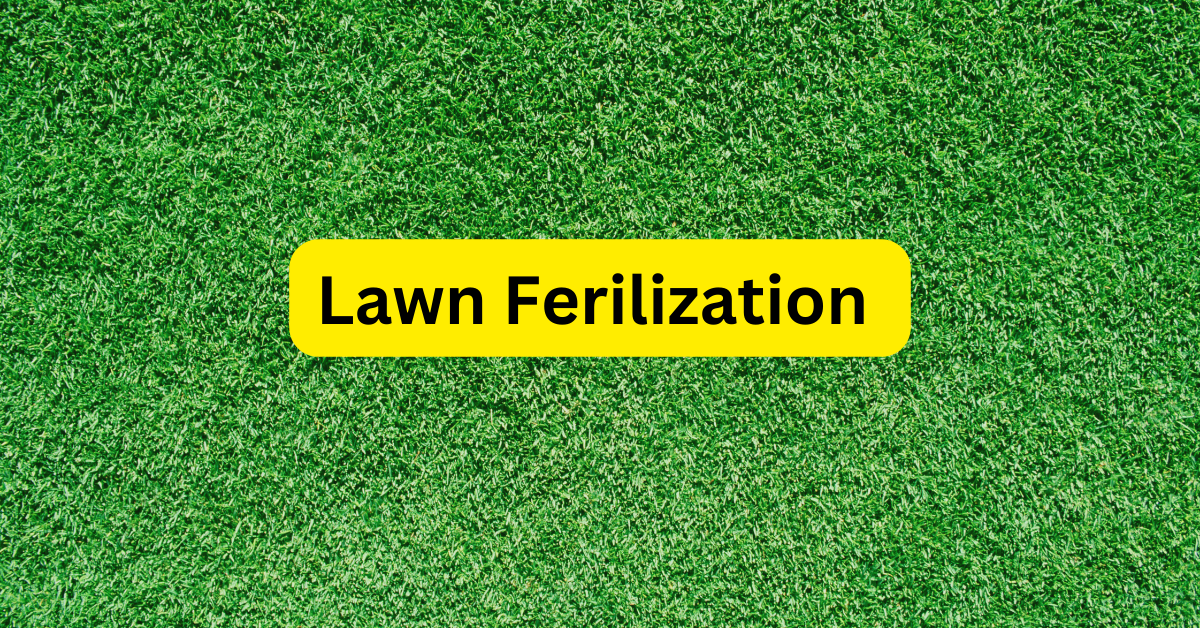 Lawn Fertilization - Weed Control in Jackson MS | Magnolia Wenger Lawn ...